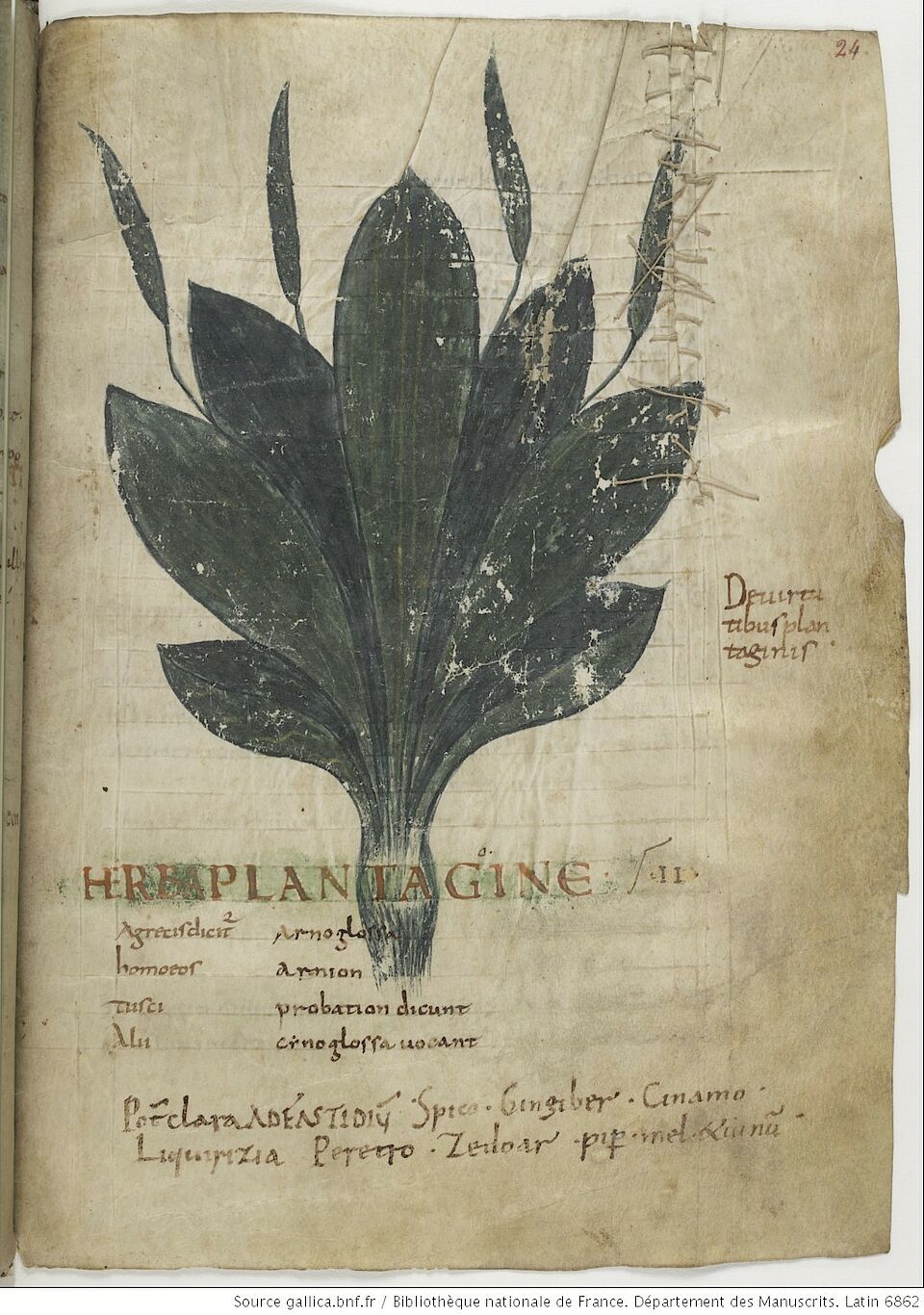Visualizing Drugs & Dyes. Art and Pharmacology in Early Medieval Worlds ...