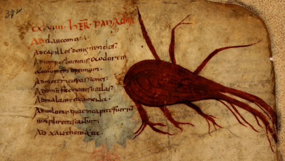 CfP: Visualizing Drugs & Dyes. Art and Pharmacology in (Early) Medieval ...